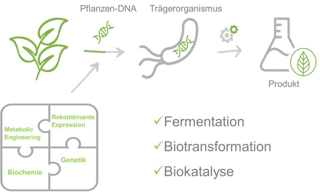 phytomining - Phytowelt GreenTechnologies GmbH